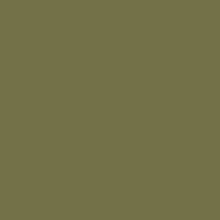 Light Olive 38 Paint | M&L Paints & Paper