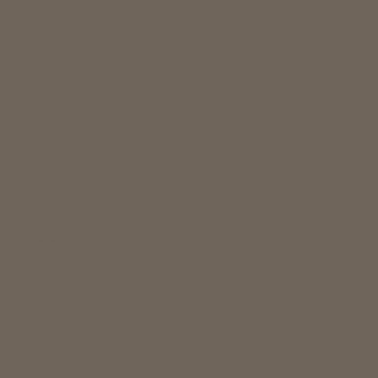 Mole Brown Paint 81 | Bold Paint Colours | M&L Paints