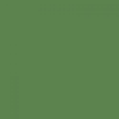 Wild Garlic 203 Paint | M&L Paints & Paper